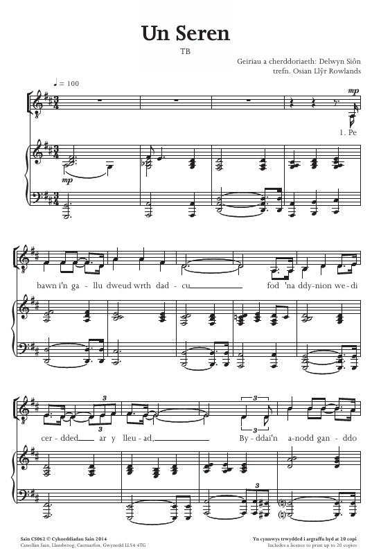 Un Seren (tb) – Sain